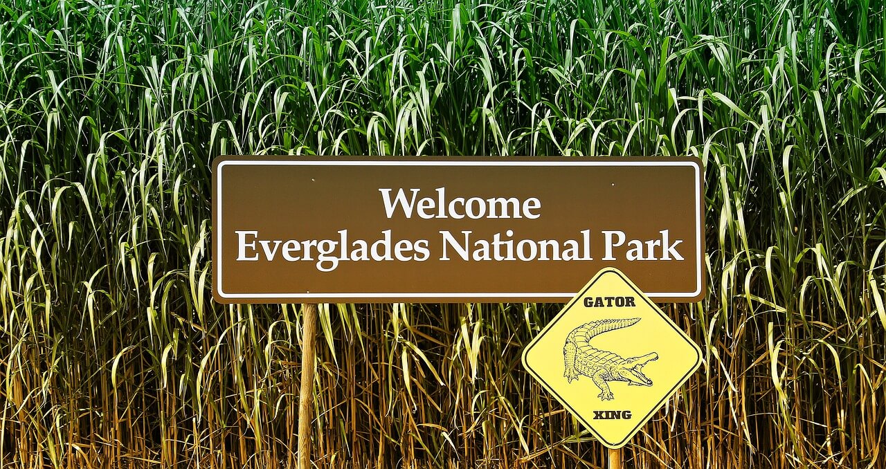 Perfect Wildlife Getaway to Everglades National Park