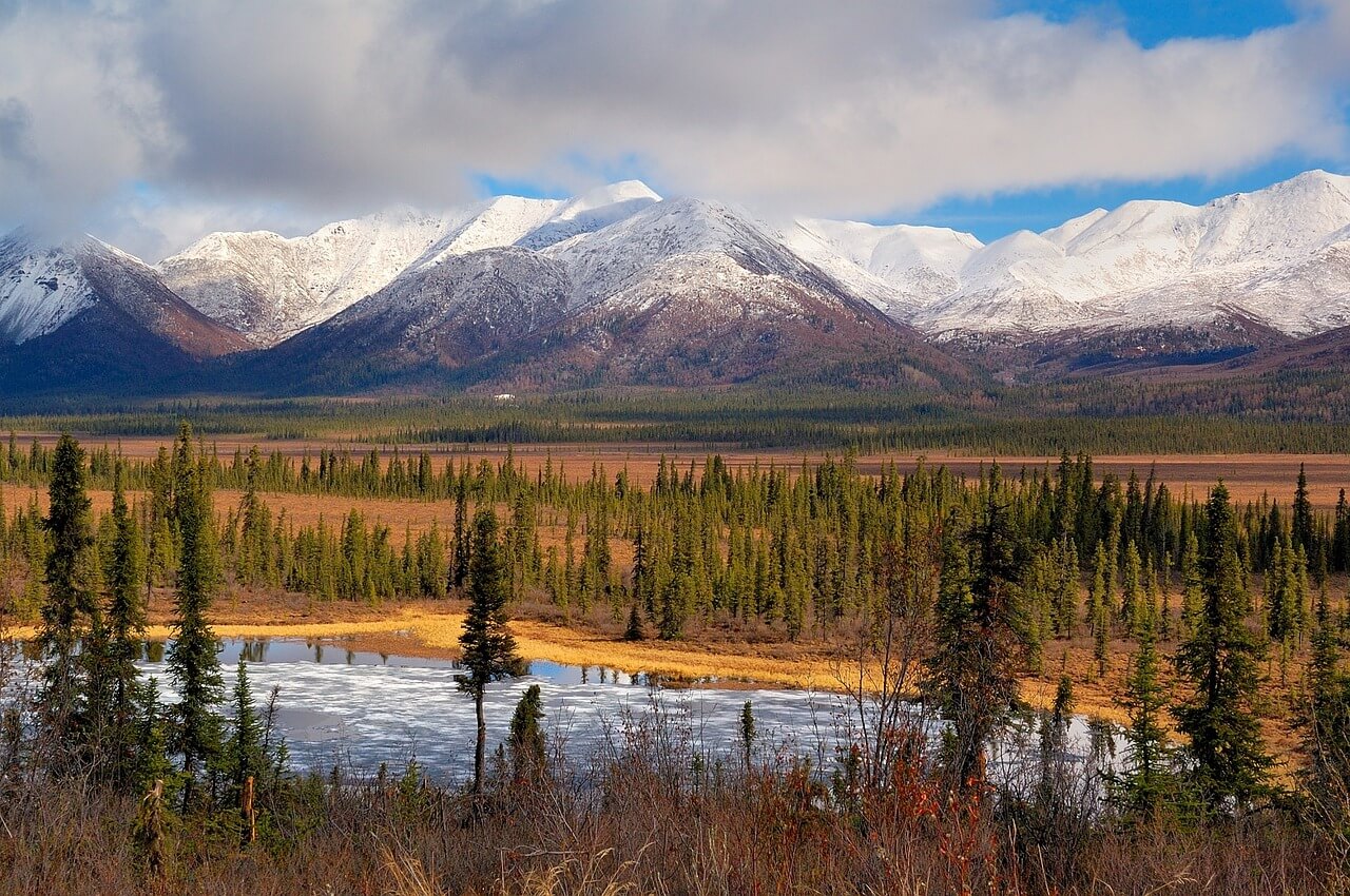 Speciality of Wrangell–St. Elias National Park and Preserve