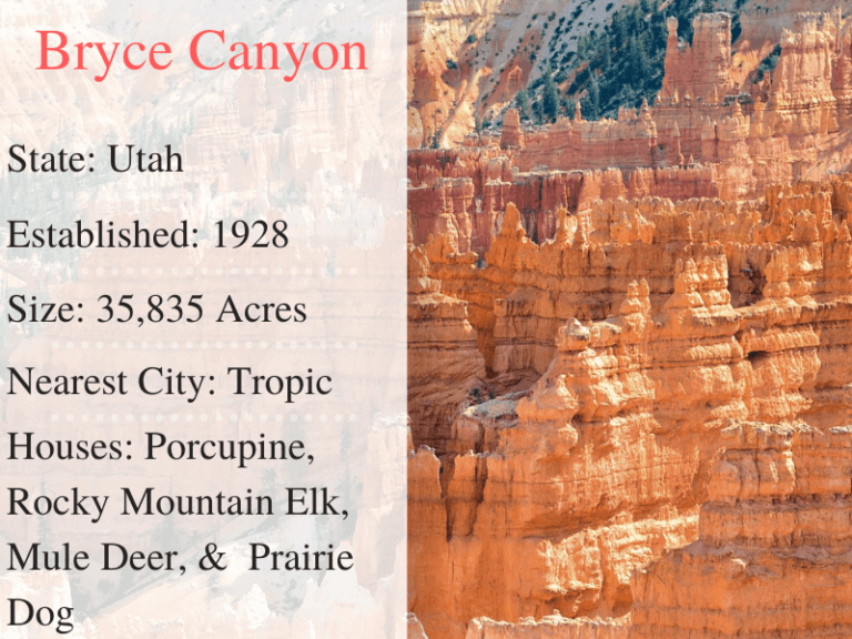 Ultimate list of National Parks in USA with Facts - National Parks Database